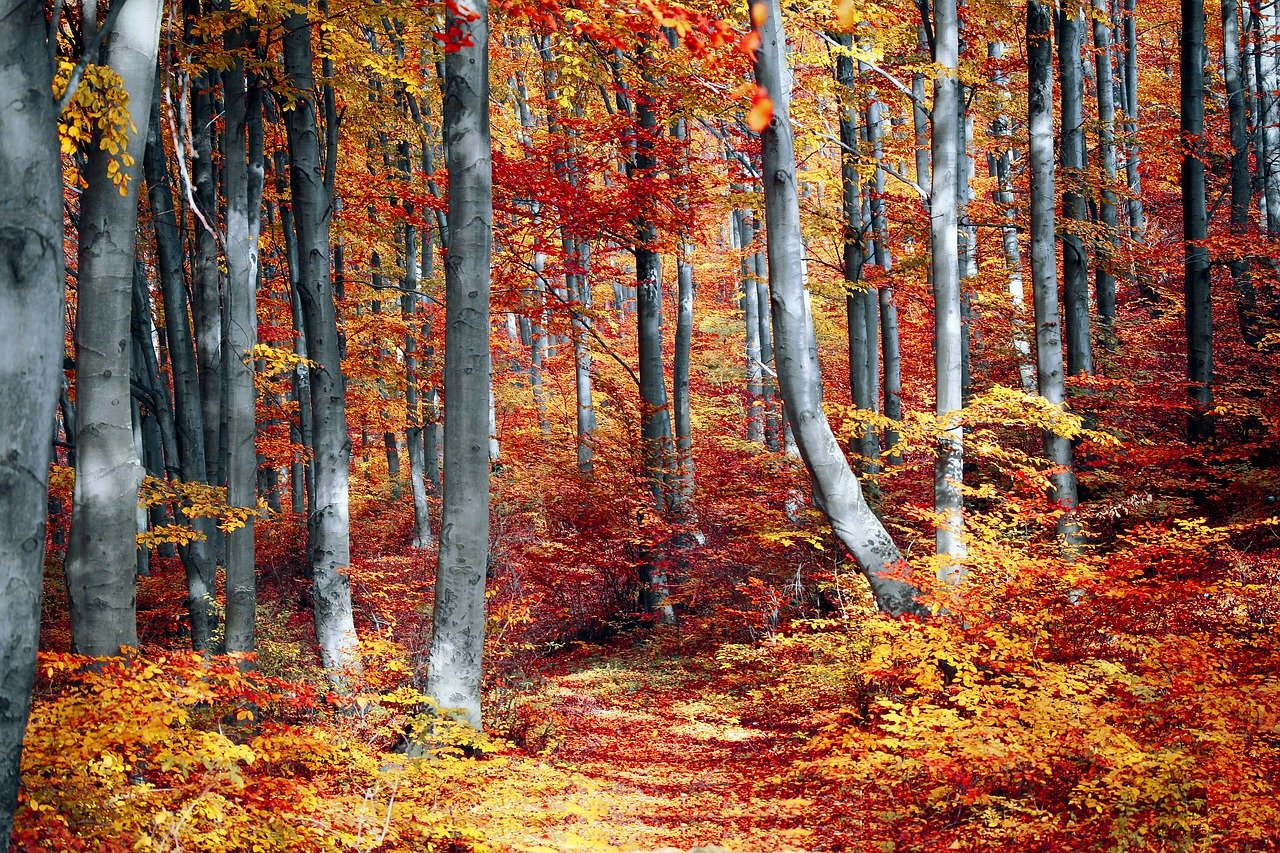 11 Ways Being Outdoors Helps Our Mental & Physical Wellbeing
